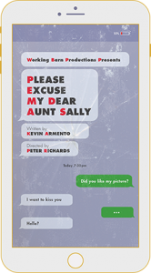 Please Excuse My Dear Aunt Sally – Lucy Pollak Public Relations